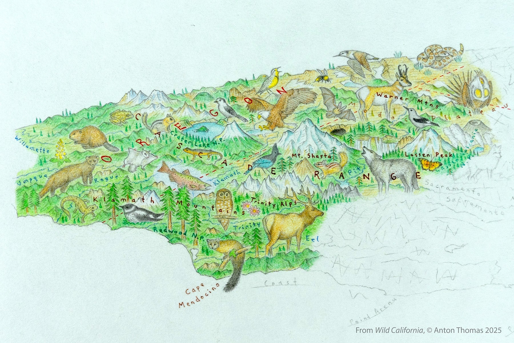 New Maps (Coming Soon) – Anton Thomas Art