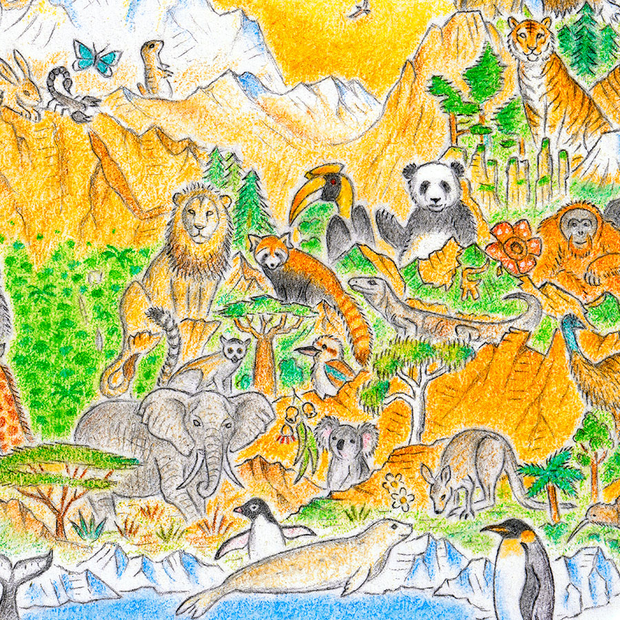 Wild World Cartouche (A3 size – 16 x 12") – Anton Thomas Art